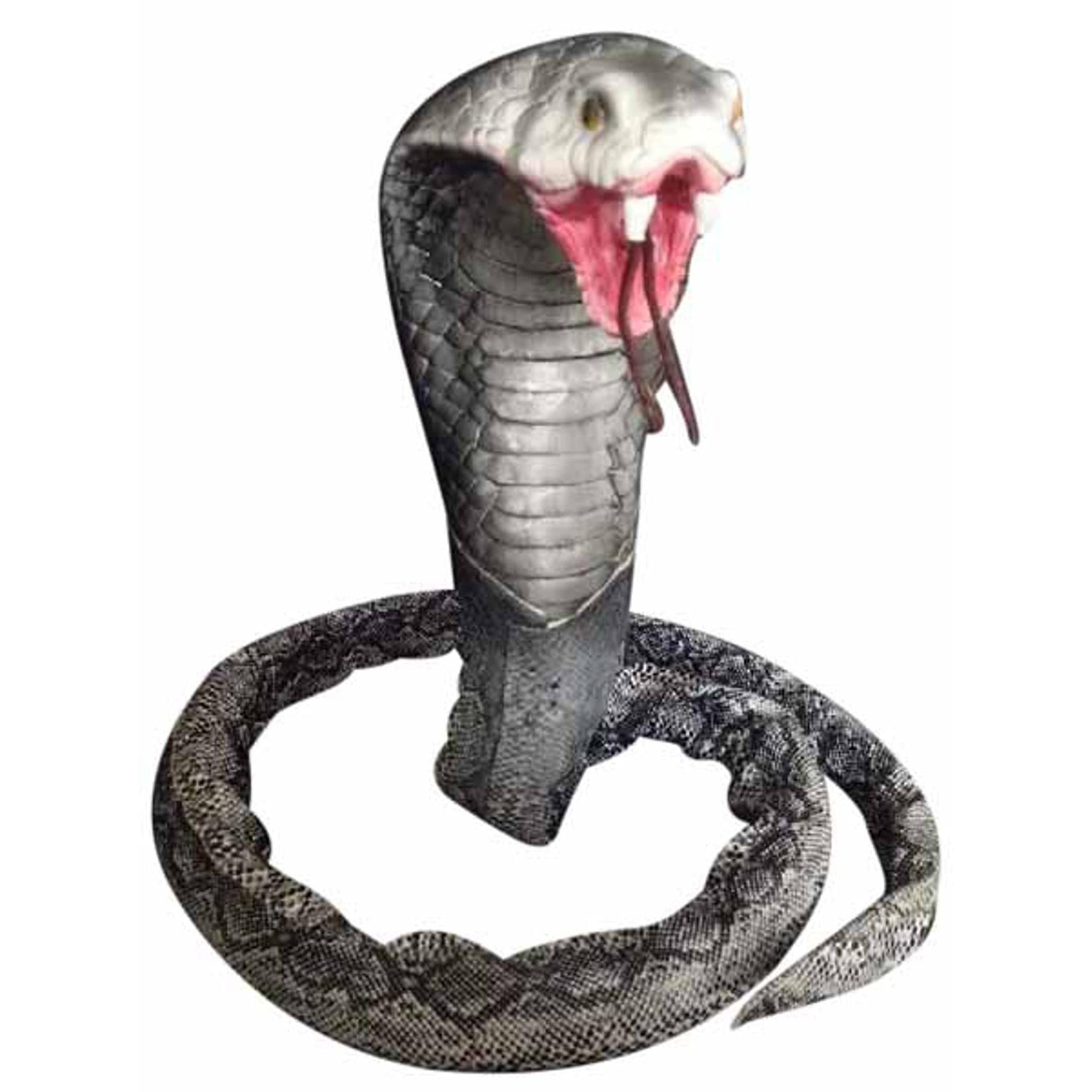 Click to expand Tap to zoom